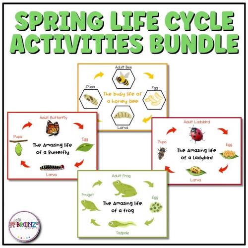 Spring Life Cycle Activities Bundle | Butterfly, Honey Bee, Ladybird & Frog