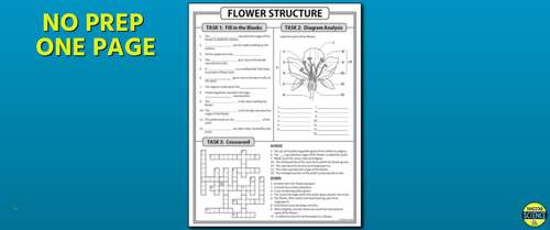 Flower Structure Homework Review Worksheet / Test Prep | Print & Google ...