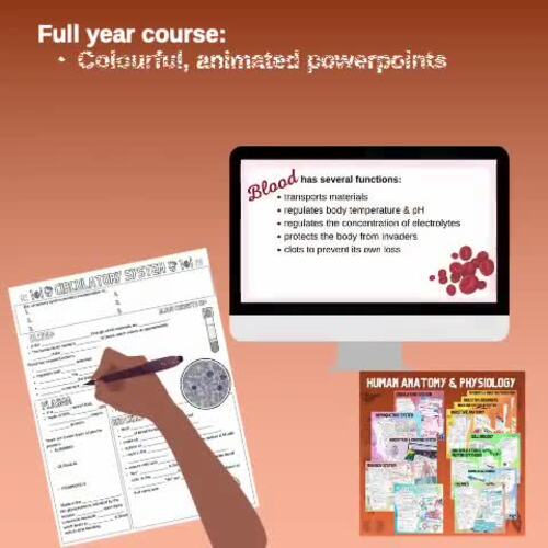 Anatomy and Physiology 12 FULL year (B.C. Curriculum) GROWING bundle!