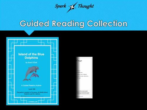 Island Of The Blue Dolphin by Spark Thought | TPT