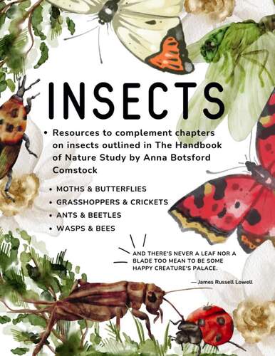 All About Insects Nature Study & Science All Year Long! by Wildchild ...