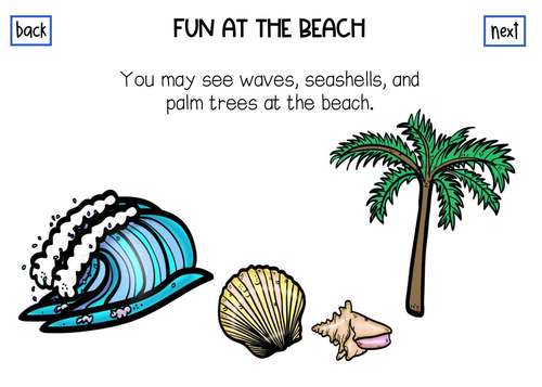 Basic Concepts Boom Cards™ - Fun at the Beach - Distance Learning Language