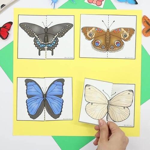 Butterflies Activities and Butterfly Craft For Preschool Worksheets ...