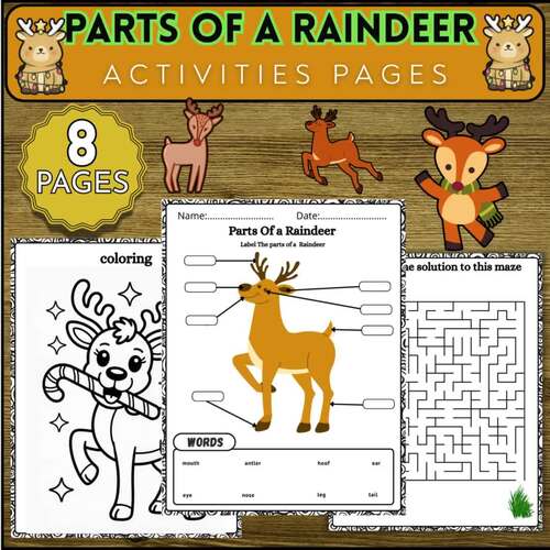 Parts of a reindeer|Winter animals activity|Reindeer labeling worksheet