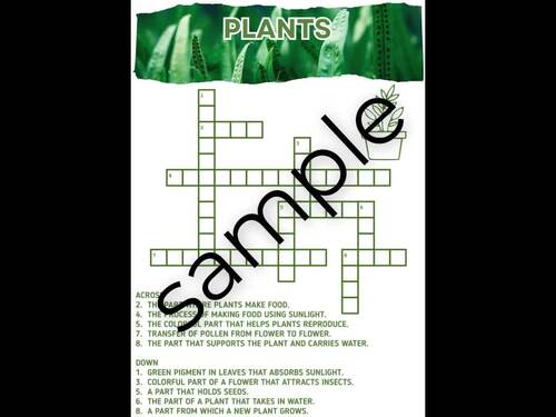 Life Science Puzzles Bundle Plants, Animals, Human Body 2nd 3rd 4th 5th ...