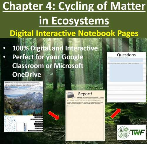 Cycling of Matter in Ecosystems - Digital Interactive Notebook Pages