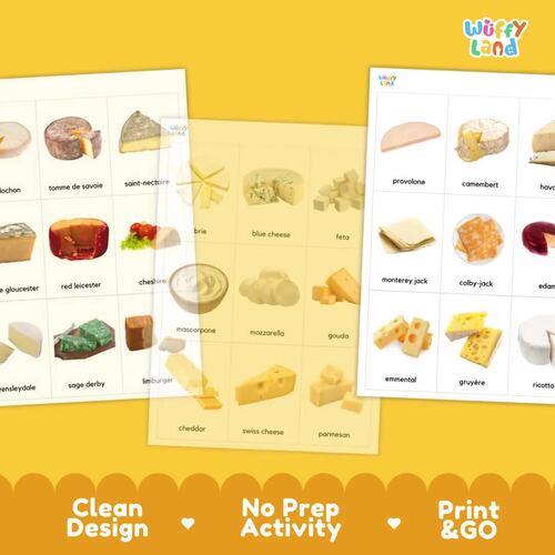 Types of Cheese Montessori Flashcards | Real Photos Food Vocabulary Cards