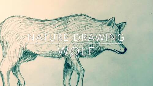 how to draw nature video