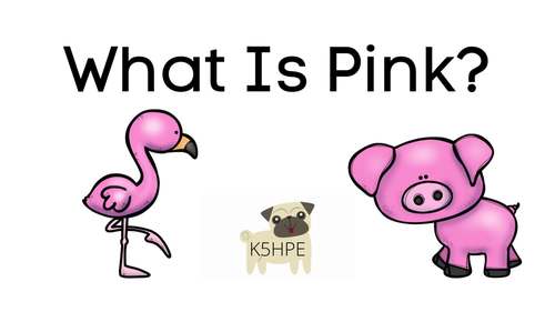 What Is Pink? Identifying Objects by Color, Video and SLIDES | TPT
