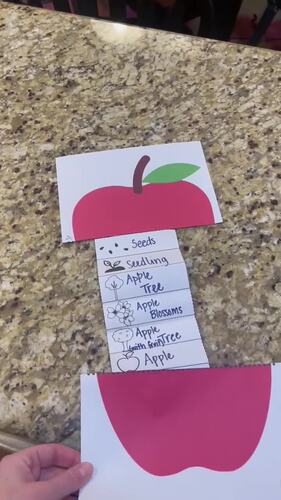 Apple Activities for Pre-K & Kindergarten | Math, Fine Motor, Graphing ...