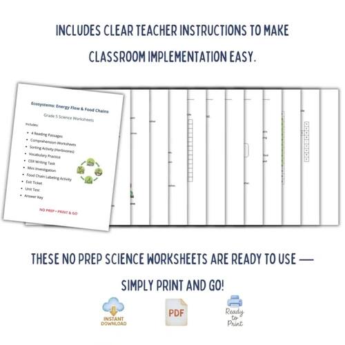Ecosystems Energy Flow & Food Chains Worksheets | 5th Grade Science Unit