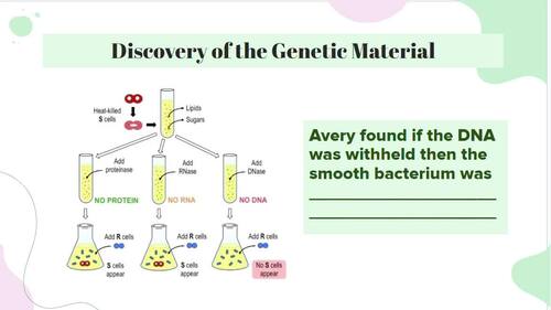 Biology Semester 2 Course Bundle by Secondary Science HQ | TPT