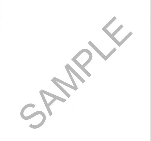 The City of Ember Novel Units® Student Packet Novel Study | TPT