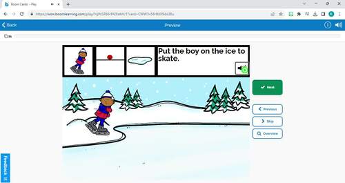 Who and What Questions Ice Skating by Creative Speech Language Resources