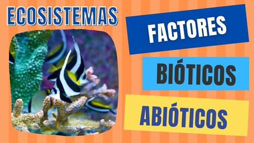 Los ecosistemas y sus componentes :: Biología y Geología, 1° ESO