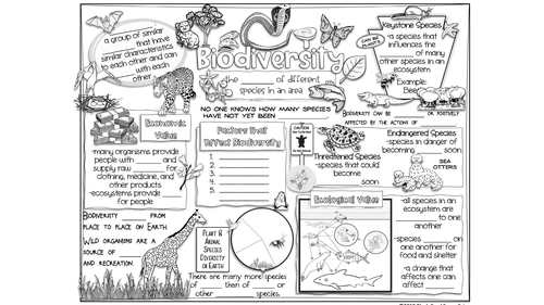 Biodiversity Doodle Notes & Quiz | Life Science NGSS Aligned Notebook ...