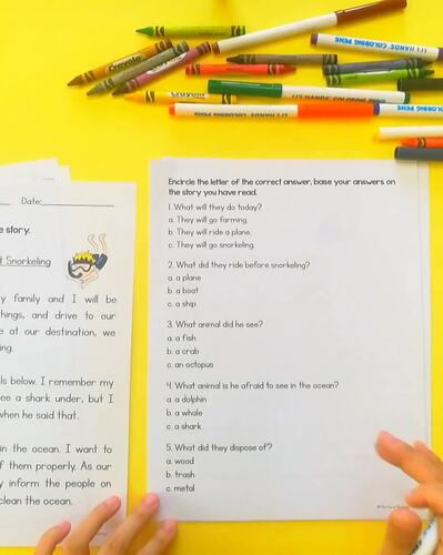 2nd Grade Reading Comprehension Passages and Questions by The Joy in ...