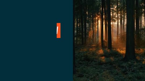 Wolf Hollow Novel Study Guide | Book Companion | TpT