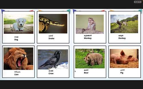 Malayalam Reader Book Series-1 Animals by Learning-Malayalam-made-easy