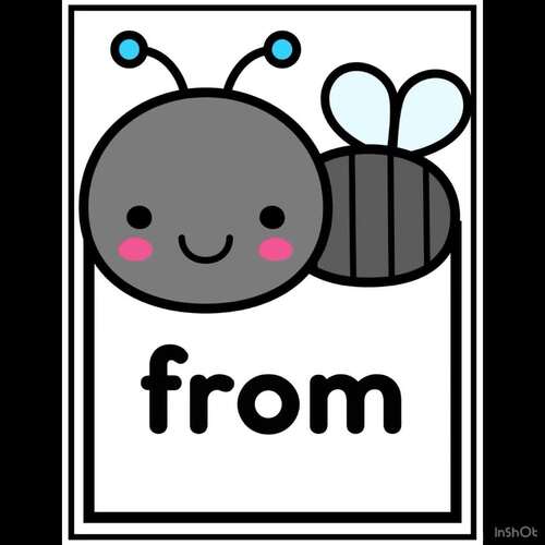 First Grade Dolch Sight Words – Spring Bug Theme Posters & Practice Cards