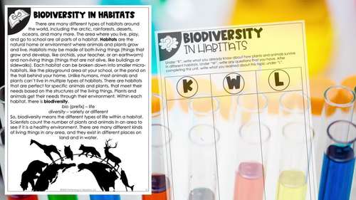 Biodiversity & Habitats | 2nd Grade Science NGSS | Print + Google 2-LS4-1