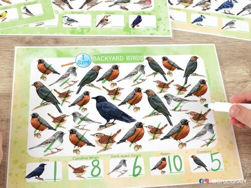 Backyard Birds I Spy Worksheets: Search, Count and Write Numbers ...