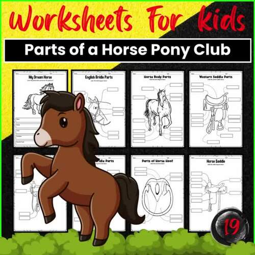 Word Search Worksheet Parts of a Horse Pony Club Grooming Tools | TPT