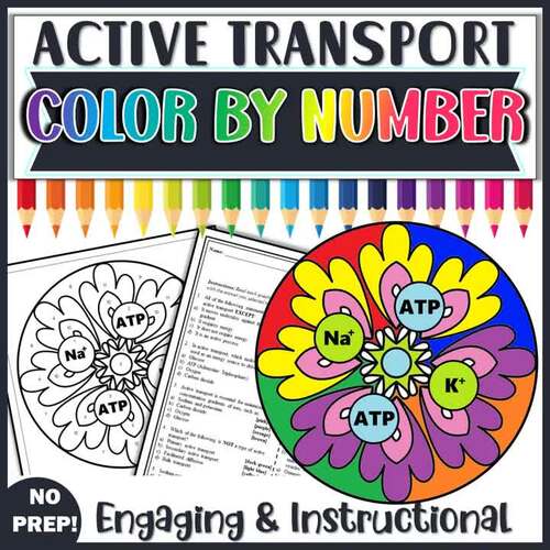Active Transport Color by Number| Biology Review Worksheet Activity