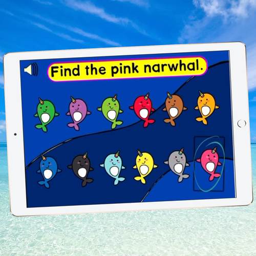 Find the PINK Color Recognition | BOOM CARDS with audio | Beach | TPT