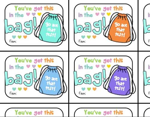 Drawstring Bag Testing Motivation Tag- You've got this in the bag! Go ...