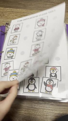 Winter Matching and Counting Work Binder (Colors, Shapes, Numbers, Letters)