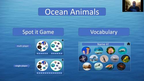 Zoo Animals Fun Word Game Spot it PPT + Printable by Blue Cherry ...