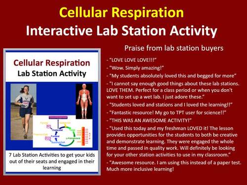 Cellular Respiration - 7 Lab Station Activities by Teach With Fergy
