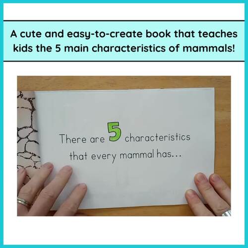 "5 Traits of a Mammal" | An Easy-to-Make and Informative Book for an ...