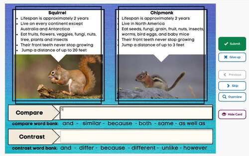Animal Compare and Contrast Sentence Writing by The Vocalfort | TPT