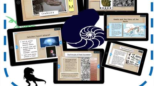 Fossils NGSS NO Prep Lesson by Mrs Lena | TPT