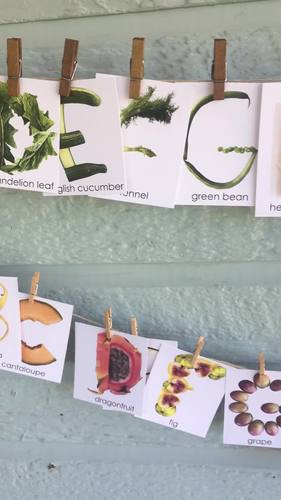 Fruit and Vegetable Alphabet Flashcards | 70+ foods labelled as ...