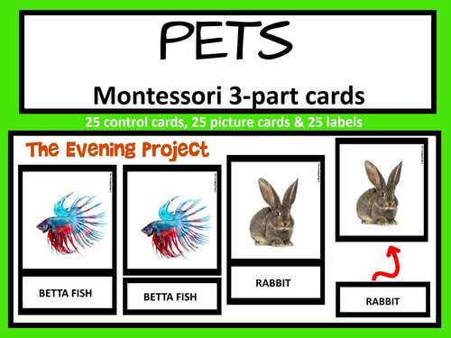 Pets Montessori 3 part cards with real photographs by THE EVENING PROJECT
