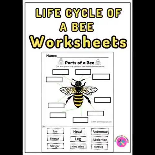 Life cycle of a Bee Packet by Preschool Garage | TPT