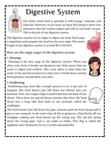 Digestive System by Kathy Diaz | TPT