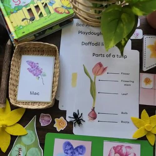 Spring Flowers& Insects by Gorun's World | TPT