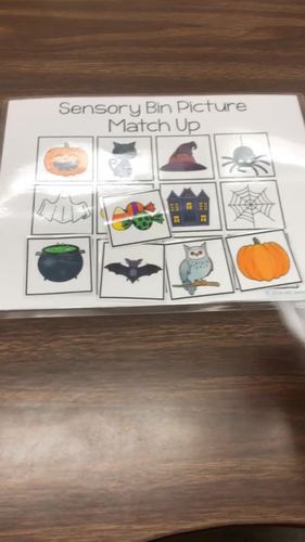 Sensory Bin: Halloween by MS Speech and Teach | TpT