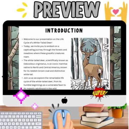 Life Cycle of a WHITE-TAILED DEER PowerPoint Lesson, 3rd 4th 5th Grade