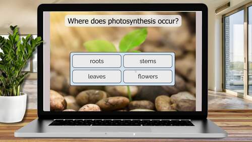 Respiration and Photosynthesis digital task Boom Cards by JayZee