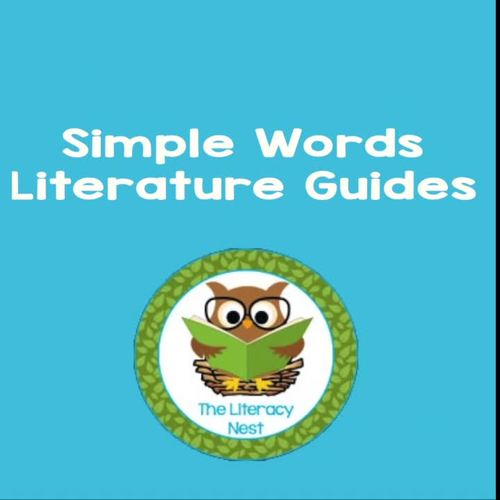 Book Companion Activities for Spring Mess Decodable Reader | TPT