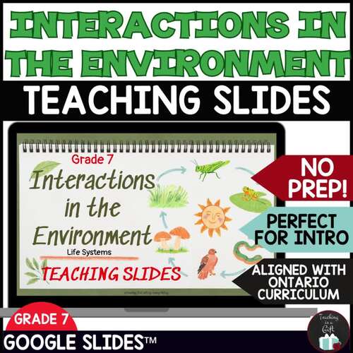 GR 7 INTERACTIONS IN THE ENVIRONMENT - DIGITAL INSTRUCTION SLIDES - ONTARIO