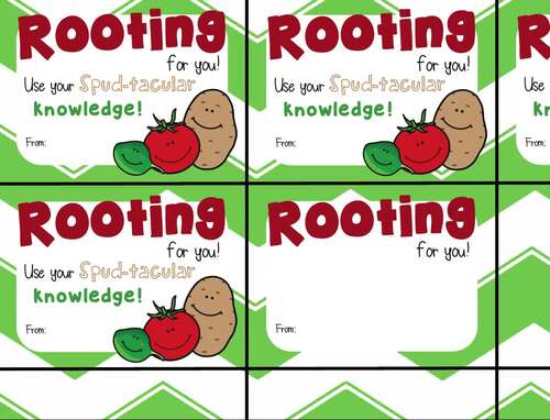 Veggie Straws (Chips) Testing Motivation Gift Tags- Rooting for you!