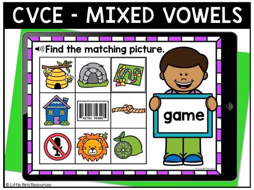 CVCE Boom Cards | Mixed Vowels Mystery Picture by Little Bird Resources