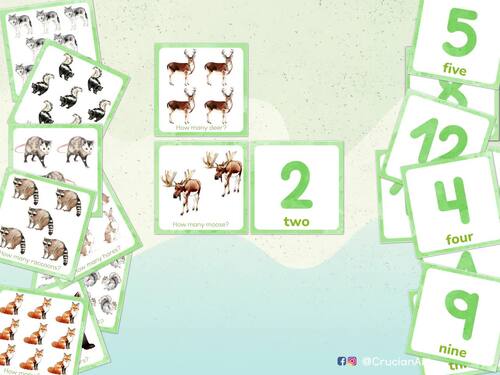 Woodland Animals Counting & Number Recognition Matching Cards, Numbers ...
