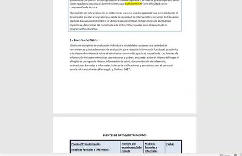 FIE Special Education Report in Spanish by Spanish Classes with Mrs Hall